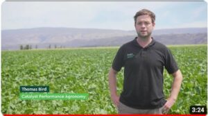 Landing Page - CropX NZ – CropX Digital Agronomy Platform and Farm ...