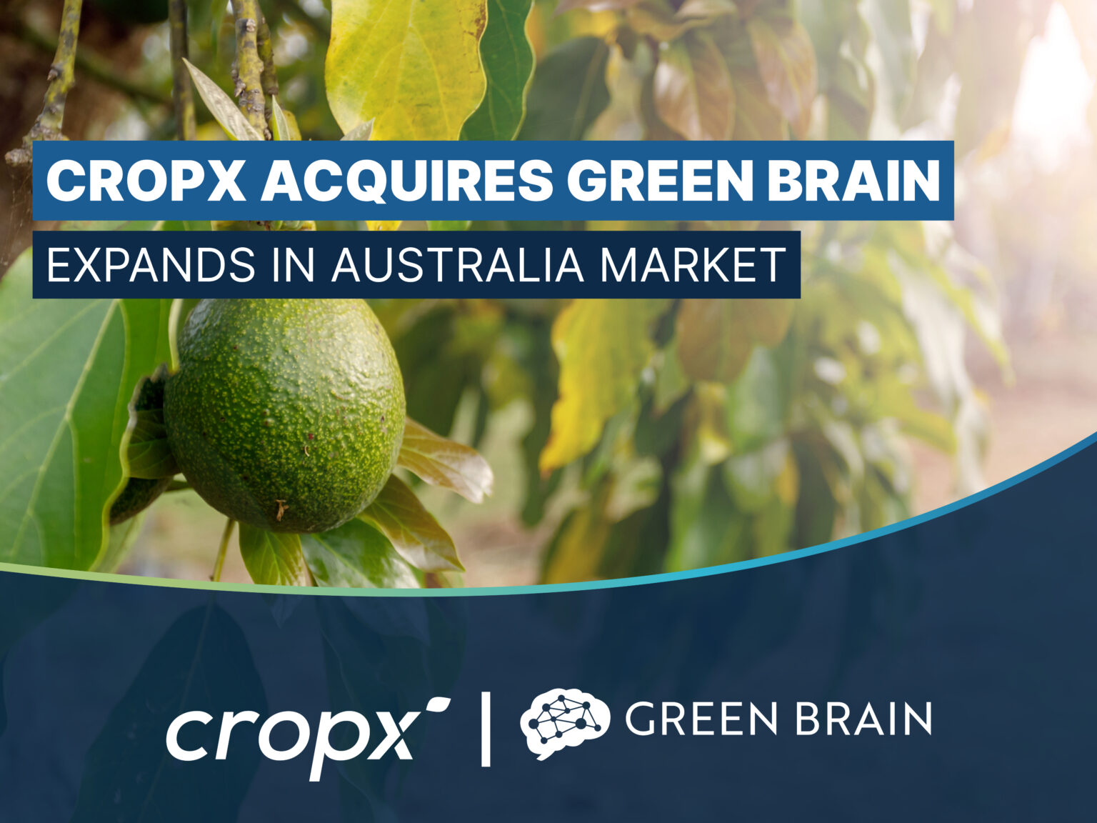 CropX Agronomic Farm Management System