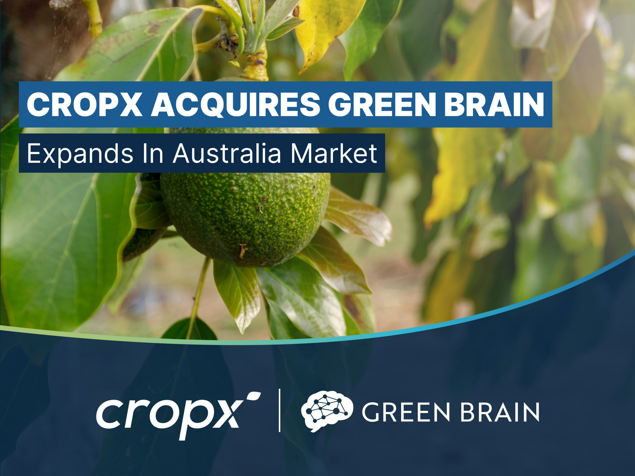 CropX acquires Green Brain to expand in Australia – CropX Digital ...
