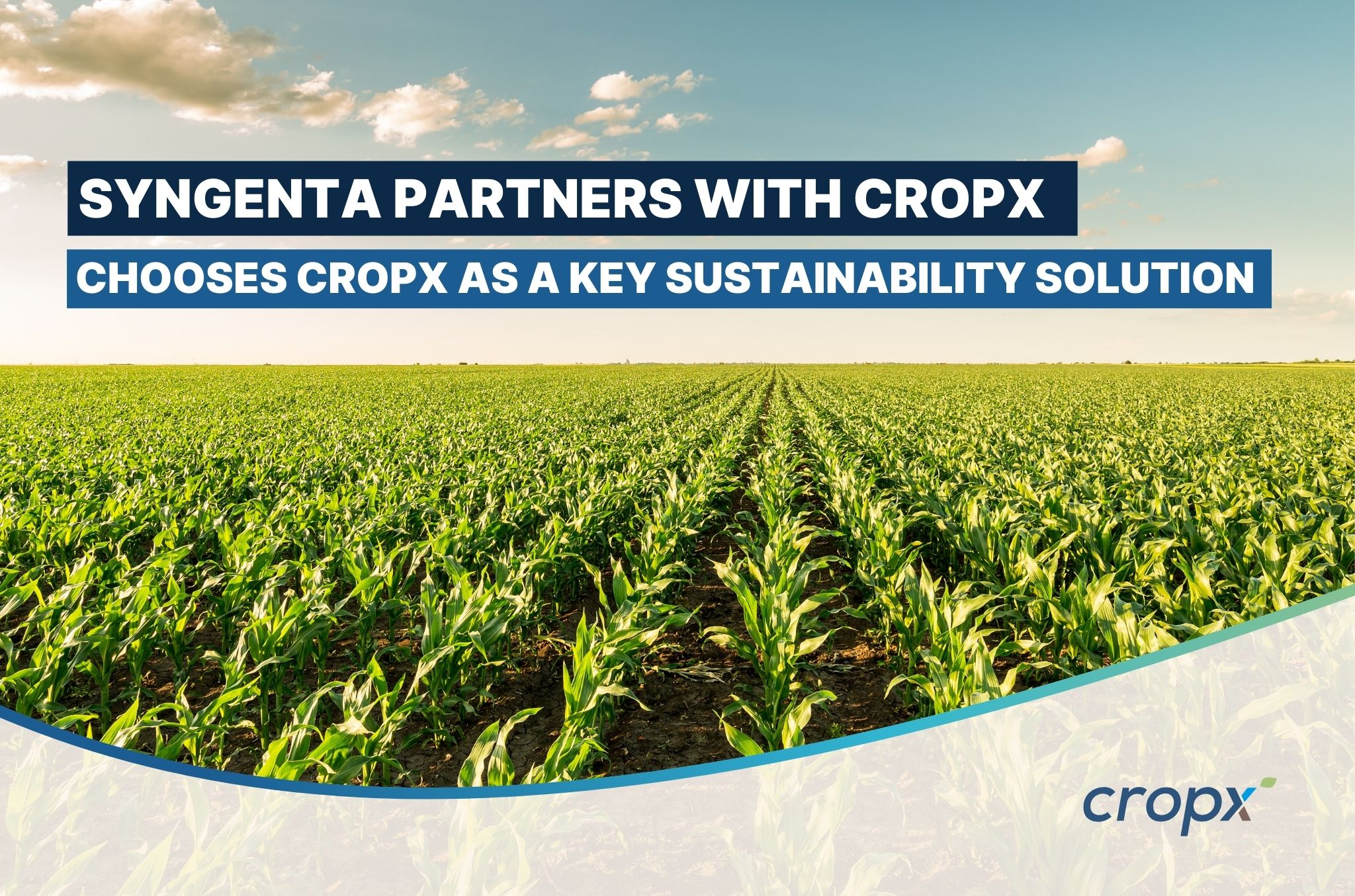Syngenta Partners with CropX as a Key Sustainability Solution – CropX ...