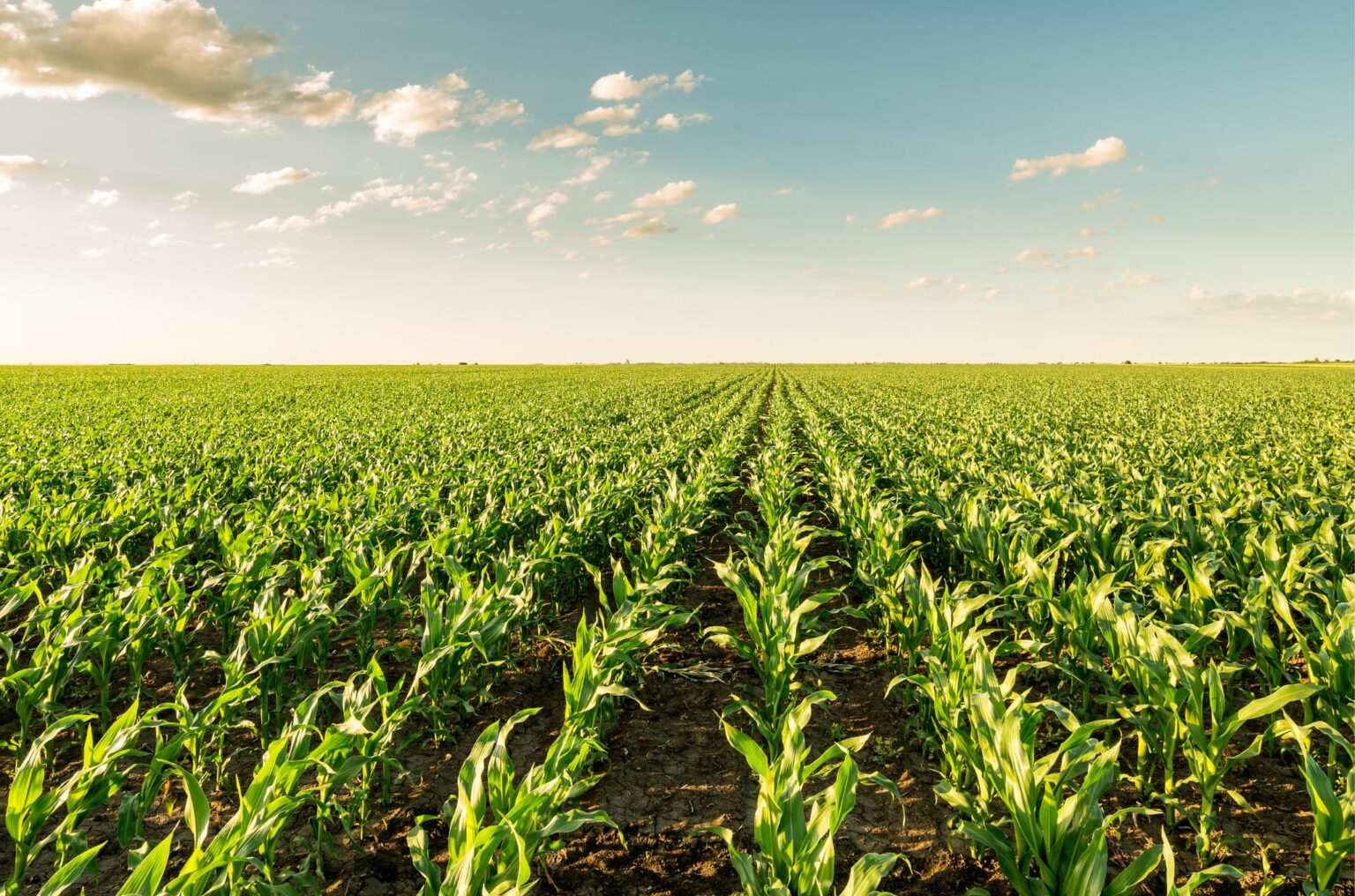 CropX Agronomic Farm Management System