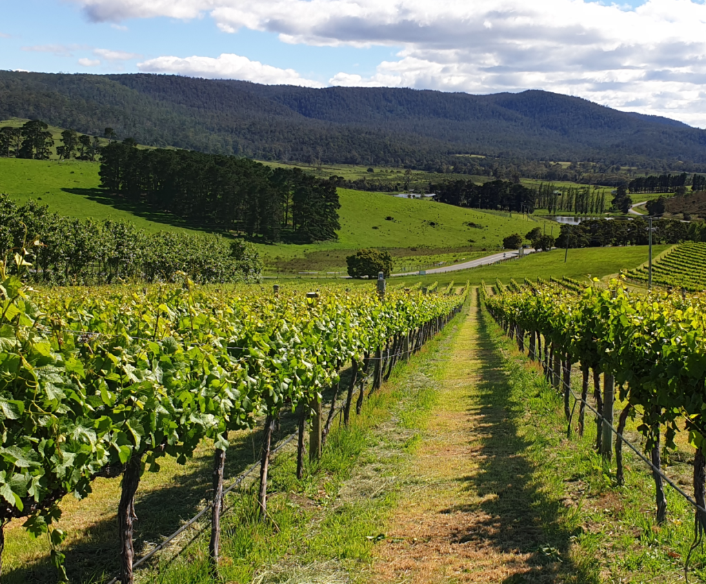 Australia Sales – CropX Digital Agronomy Platform and Farm Management System