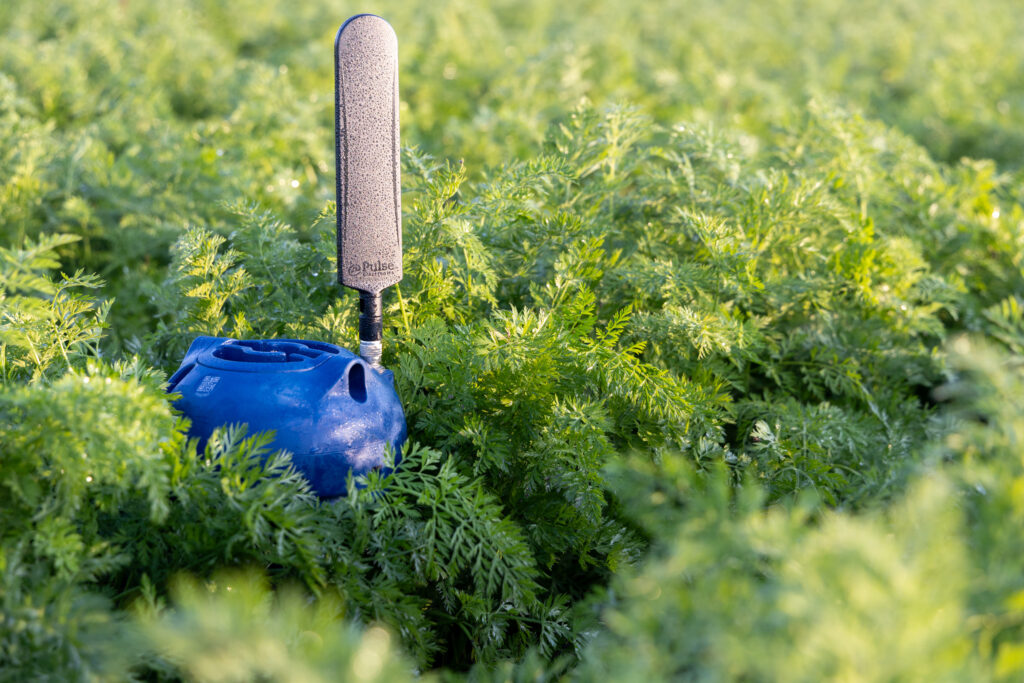 Successful and sustainable farming with CropX